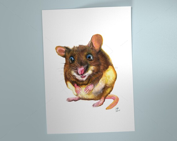 Field Mouse Art Print. From my watercolour pencil drawing artwork. — UK ...