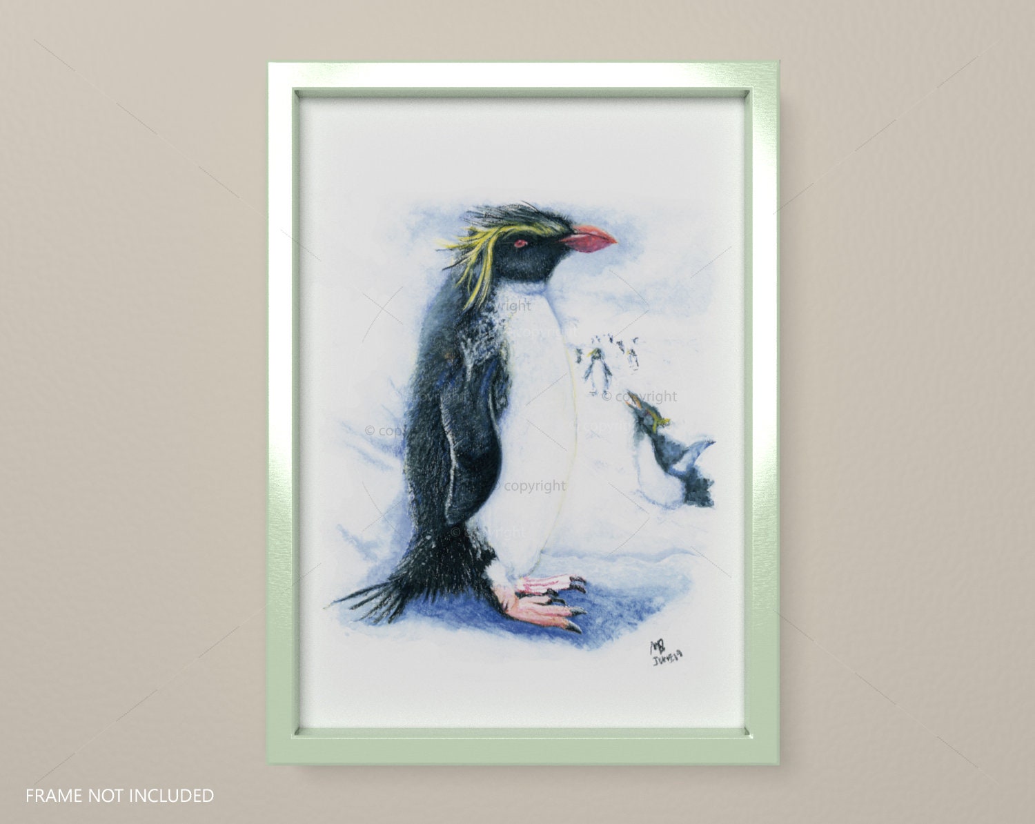 Rockhopper Penguin Art Print. From My Watercolour Pencil Drawing ...