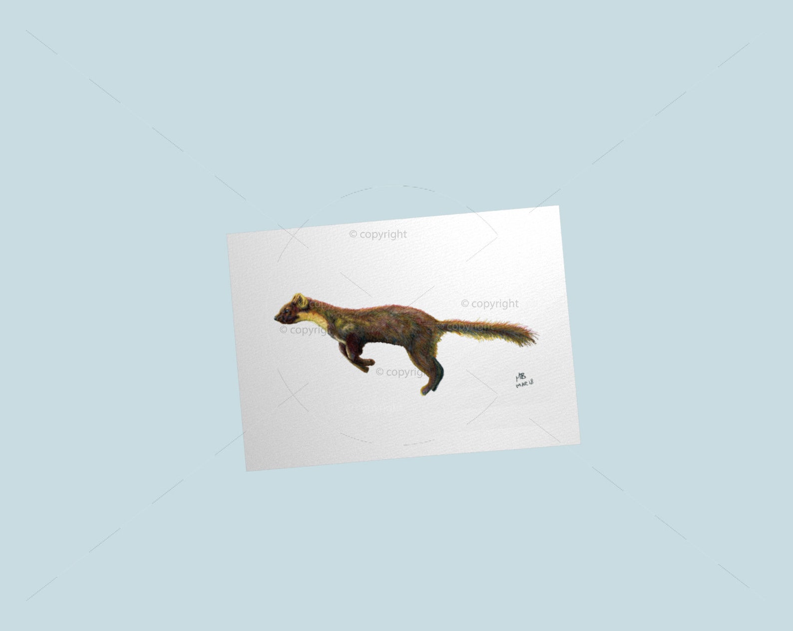 Pine Marten Running. Art. Print of Watercolour Pencil Drawing. - Etsy UK