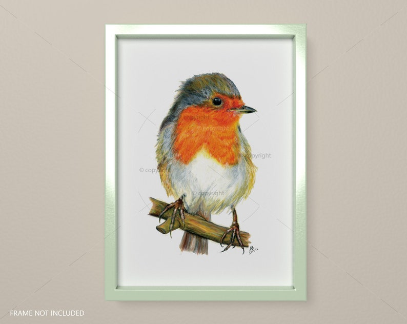 Robin Red Breast Art Print. From My British Garden Bird Watercolour ...