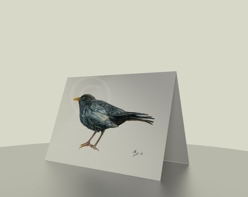 Blackbird Greeting Card 7x5 British Garden Birds Print Of