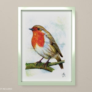 Robin Red Breast Portrait Art Print. From My Watercolour Pencil Drawing ...