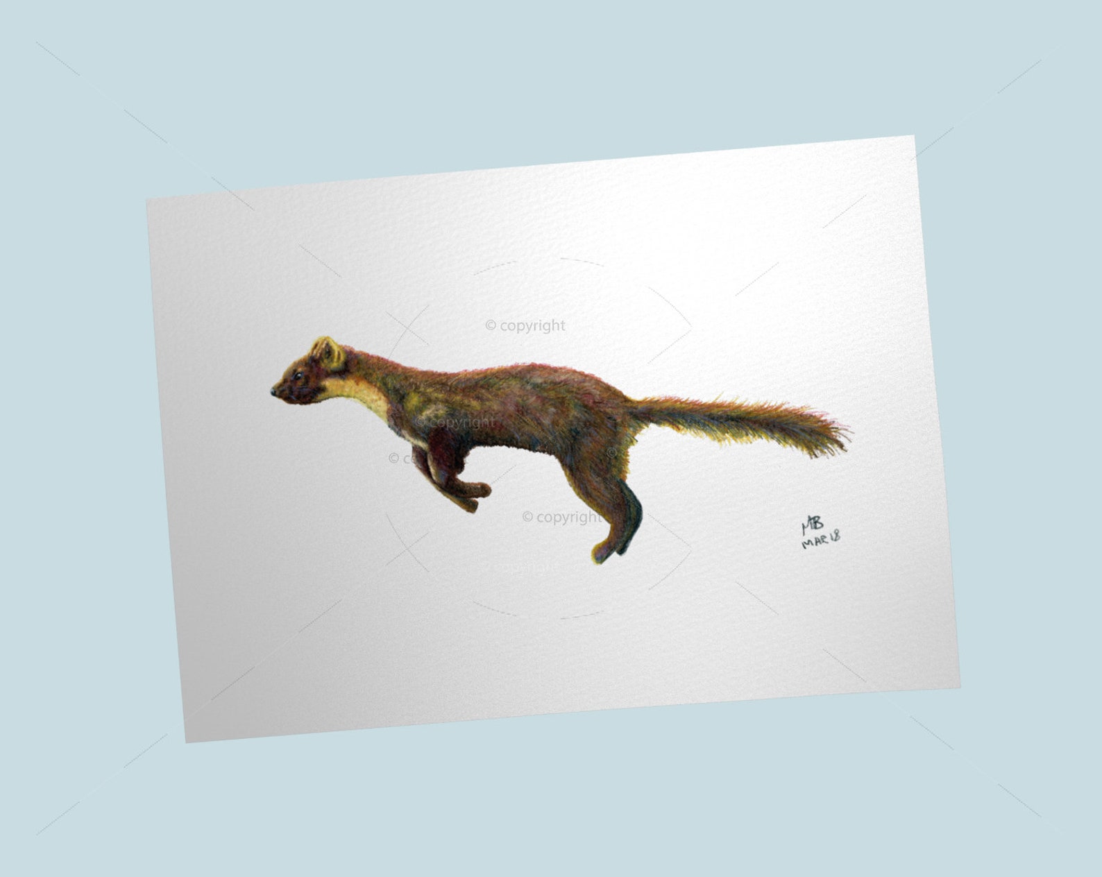 Pine Marten Running. Art. Print of Watercolour Pencil Drawing. - Etsy UK