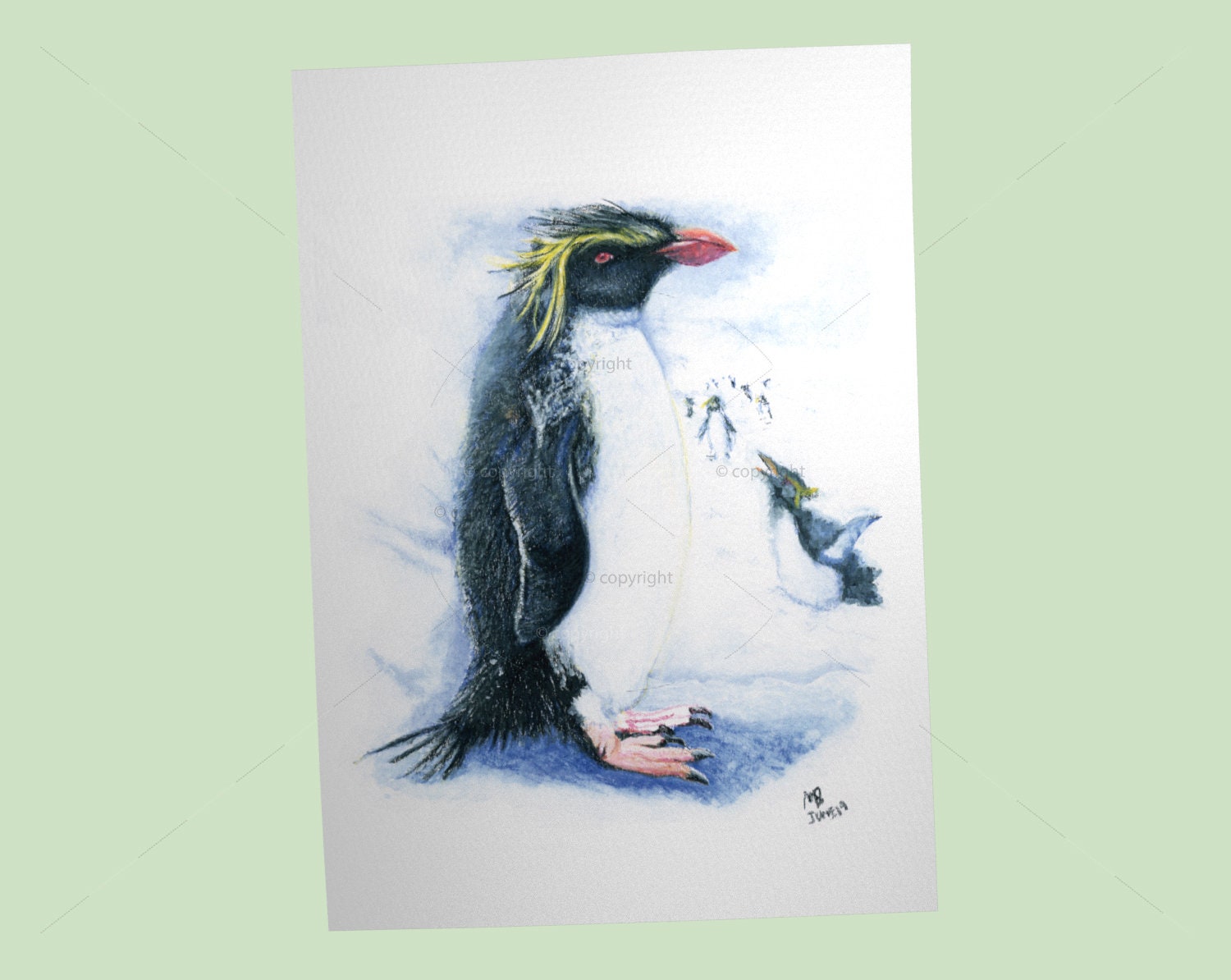 Rockhopper Penguin Art Print. From My Watercolour Pencil Drawing ...