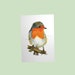 Robin Red Breast Art Print. From My British Garden Bird Watercolour ...