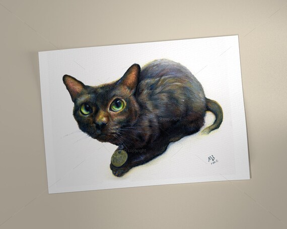 Burmese Cat art print of my watercolour pencil drawing. Unframed. — UK ...