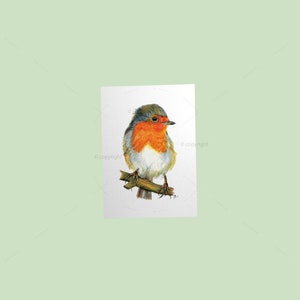 Robin Red Breast Art Print. From My British Garden Bird Watercolour ...