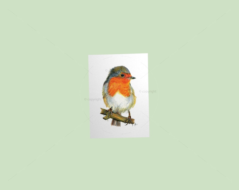 Robin Red Breast Art Print. From My British Garden Bird Watercolour ...