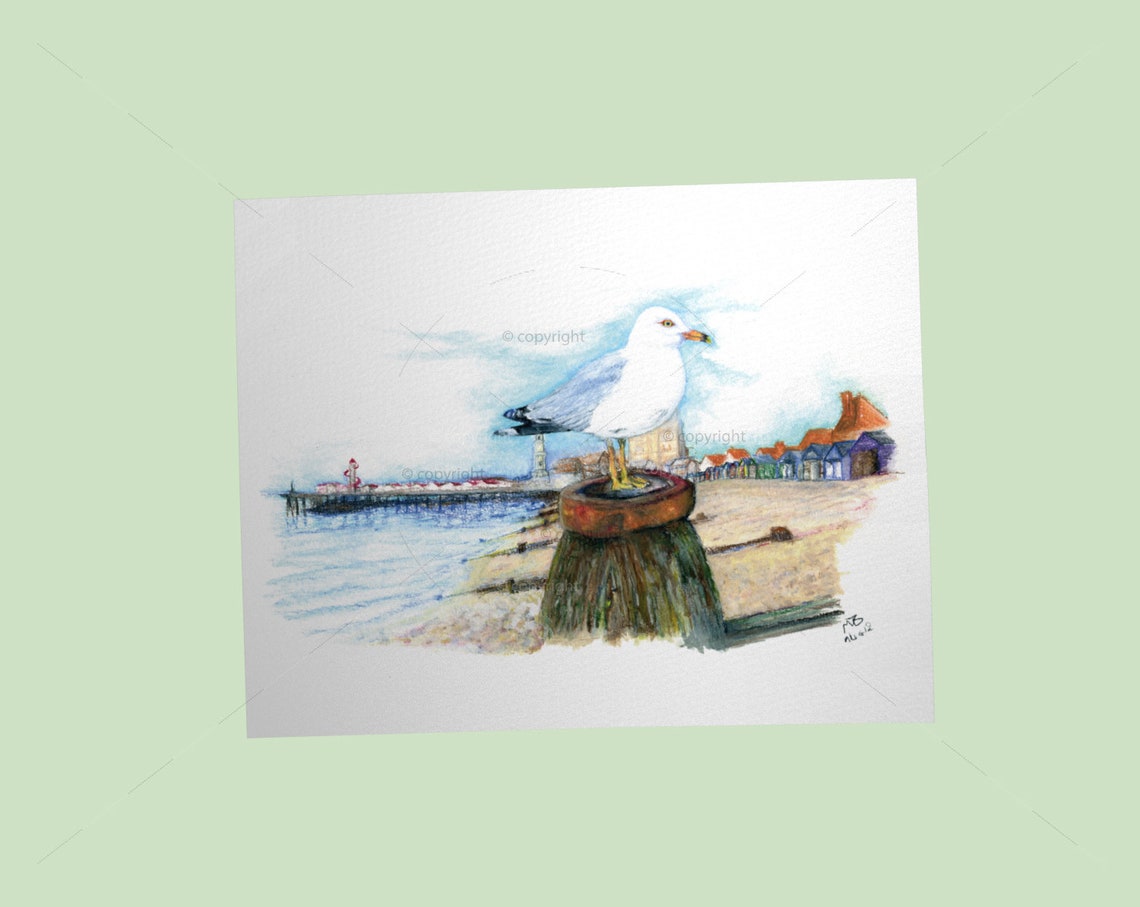 Seagull Art Print. From My Watercolour Pencil Drawing of a - Etsy