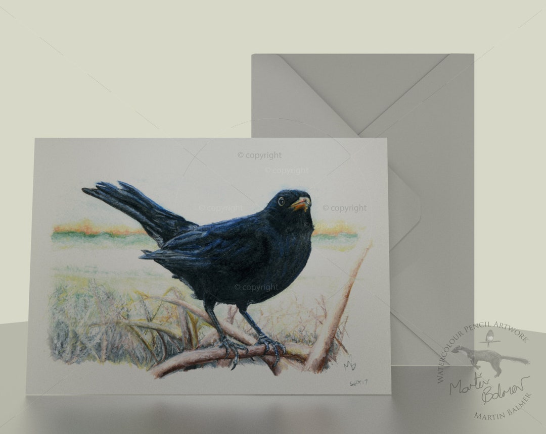Blackbird Greeting Card 7x5 British Garden Birds Print Of Etsy