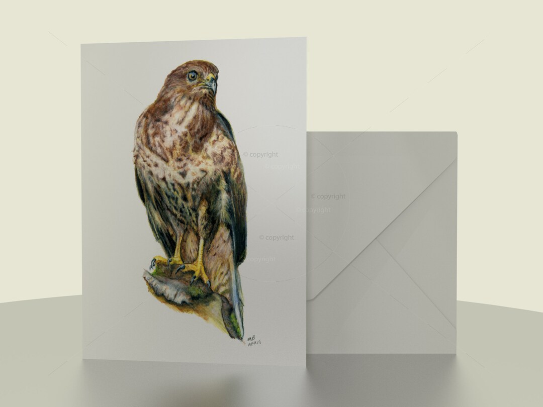 Sparrowhawk Art Greeting Card. Watercolour Pencil Drawing Print. Sleek ...