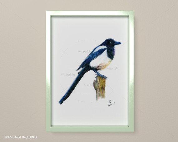 Green Yellow Budgie Art Print of my watercolour pencil drawing ...