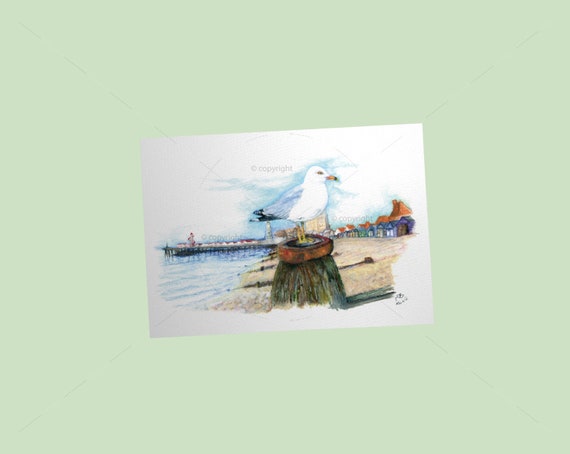 Seagull Art Print. From my watercolour pencil drawing of a seagull on ...