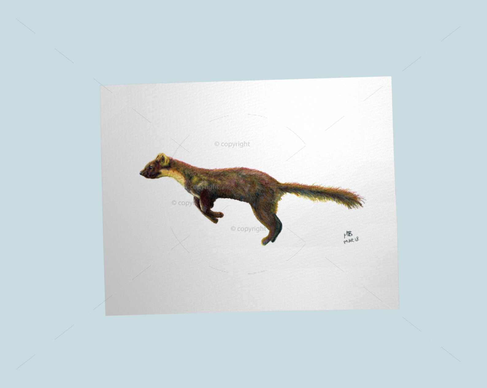 Pine Marten Running. Art. Print of Watercolour Pencil Drawing. - Etsy UK