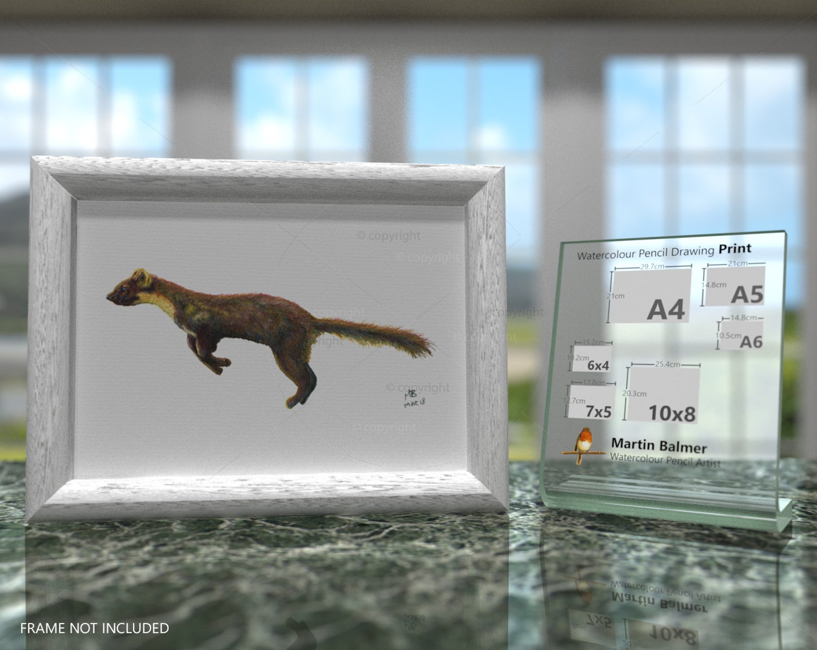 Pine Marten Running. Art. Print of Watercolour Pencil Drawing. - Etsy UK