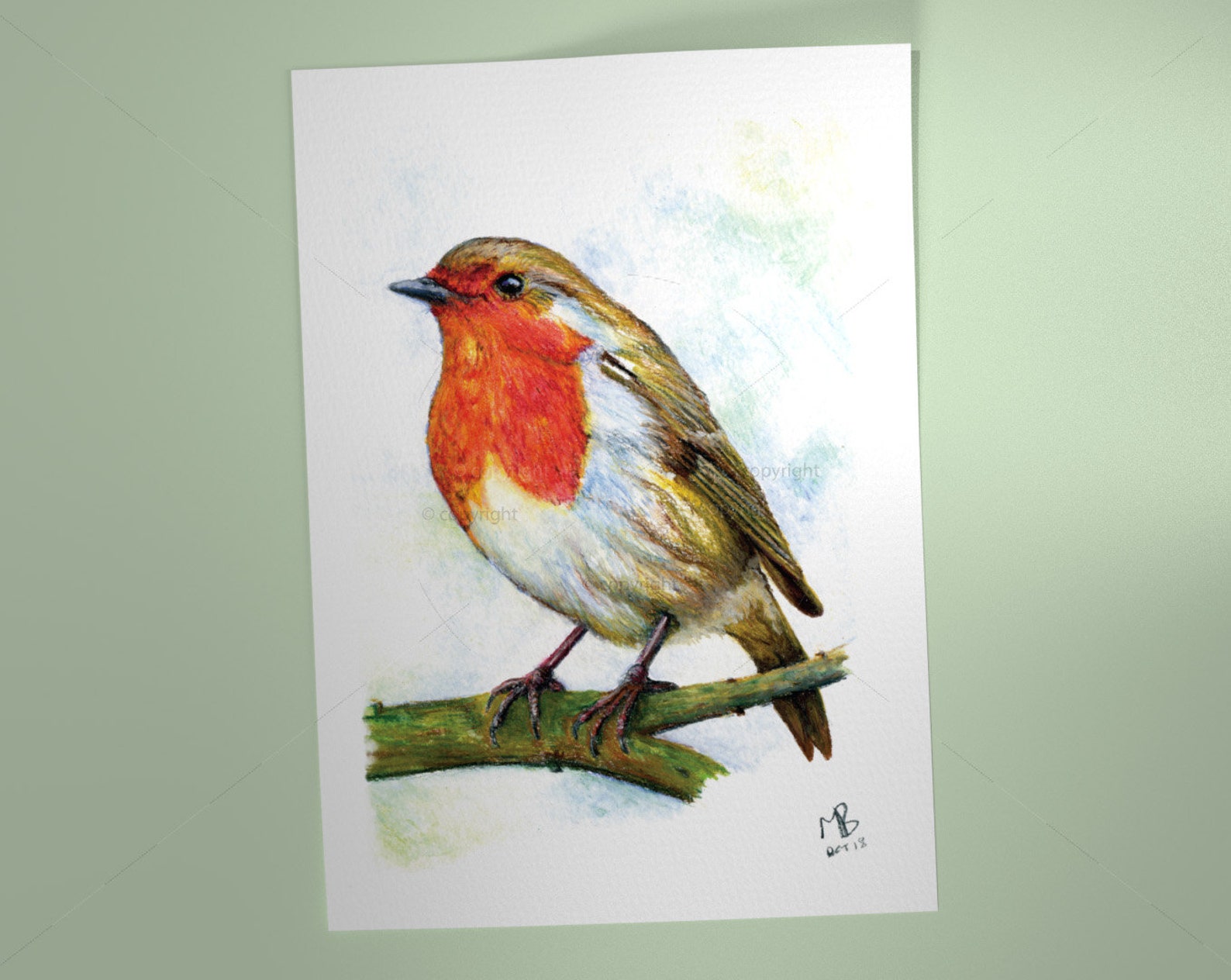 Robin Red Breast Portrait Art Print. From My Watercolour - Etsy