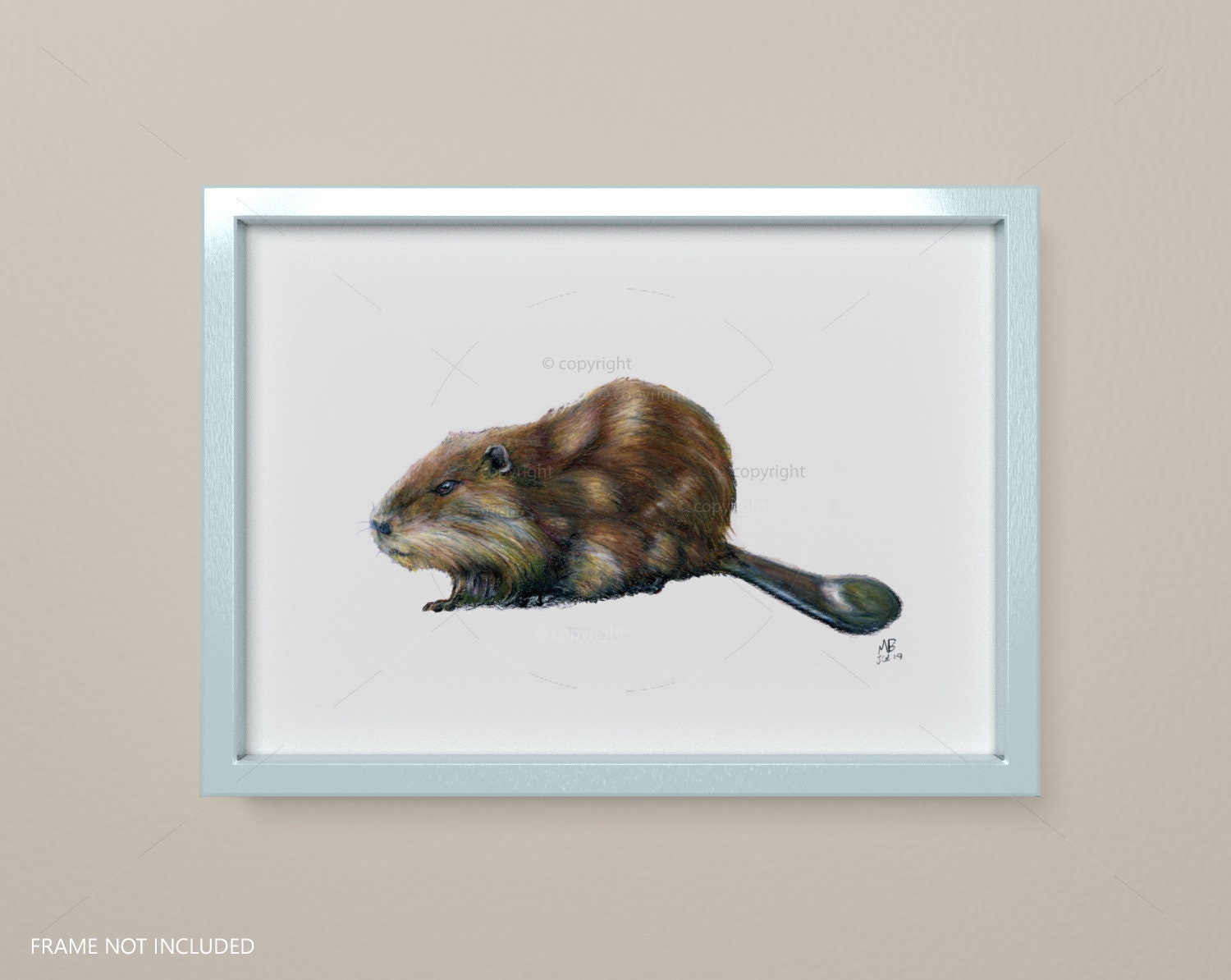 Beaver Artwork Print. A Print of a Watercolour Pencil Drawing. Unframed ...