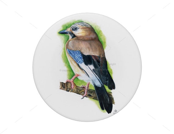 Jay watercolour pencil drawing — UK Artist Official Store for Martin Balmer