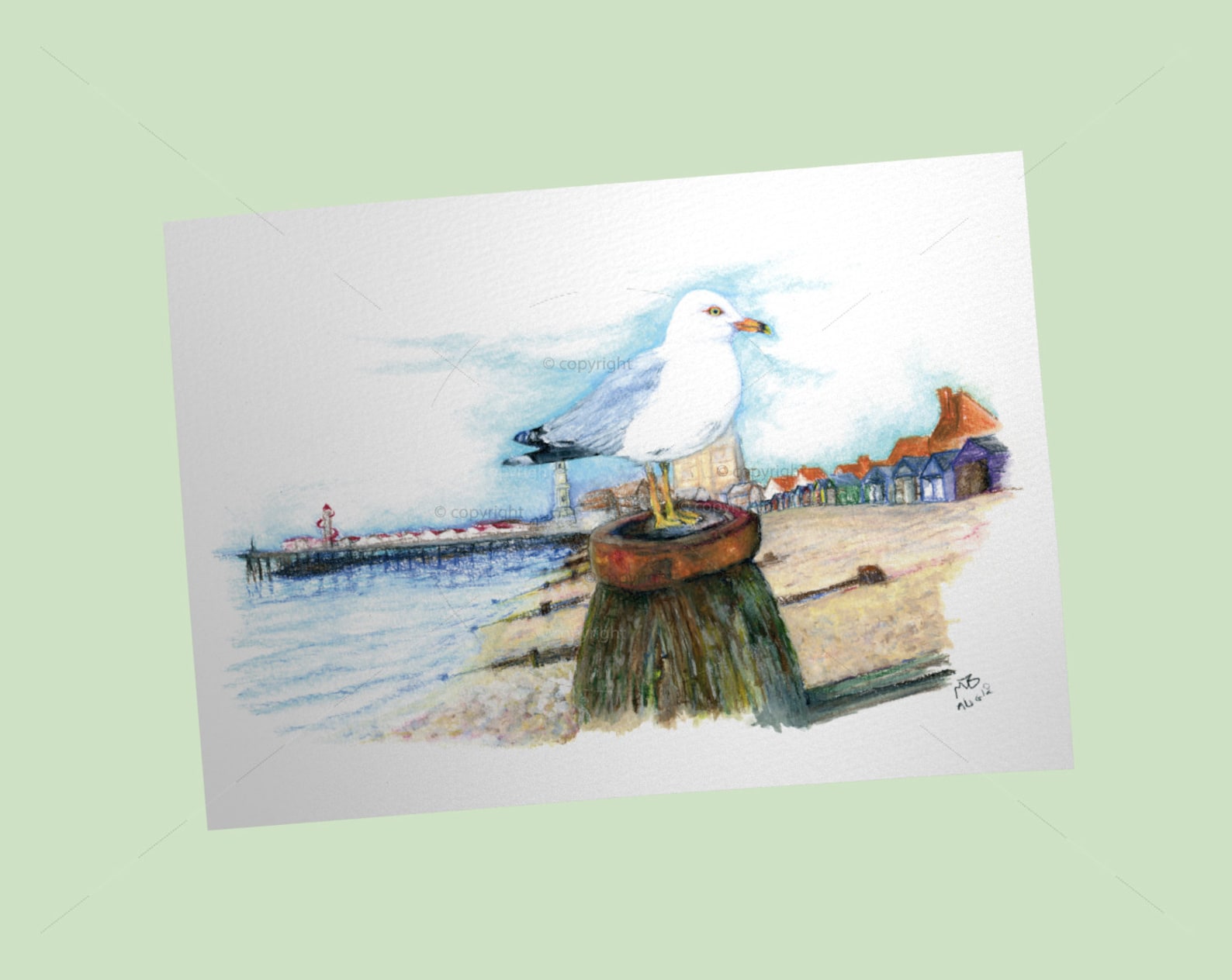 Seagull Art Print. From My Watercolour Pencil Drawing of a - Etsy