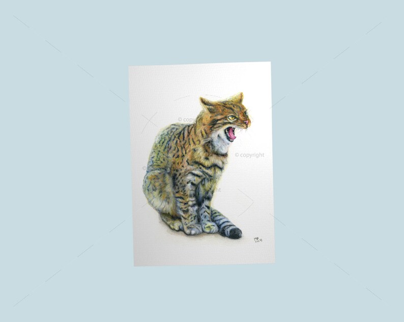 Scottish Wild Cat Art Print. From my watercolour pencil - Etsy Italia