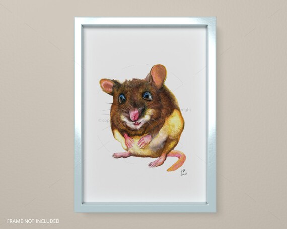 Field Mouse Art Print. From my watercolour pencil drawing artwork. — UK ...