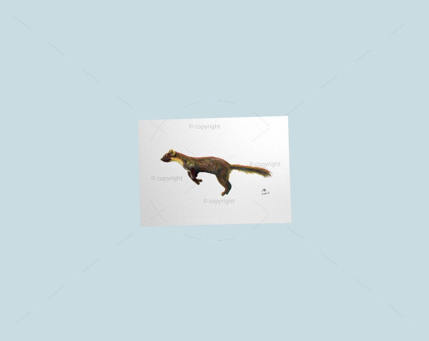 Pine Marten Running. Art. Print of Watercolour Pencil Drawing. - Etsy UK