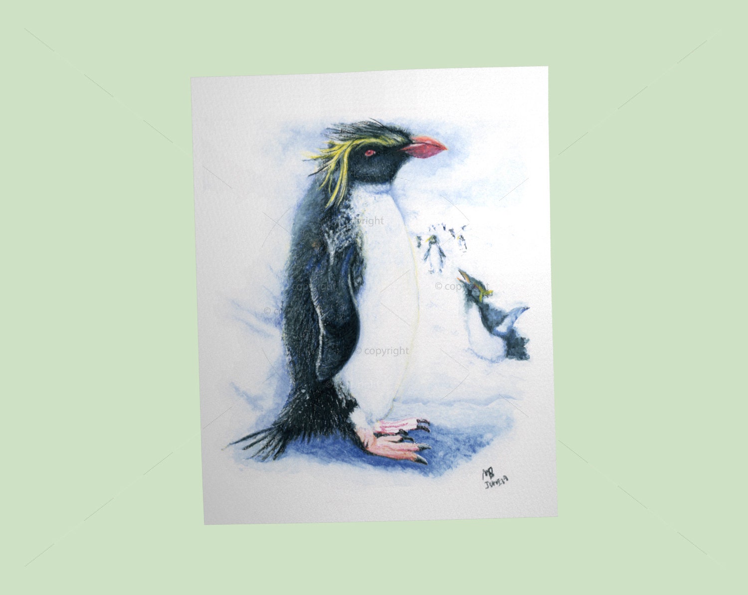 Rockhopper Penguin Art Print. From My Watercolour Pencil Drawing ...