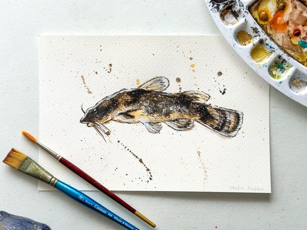 Neosho Mad Tom Original Art, Watercolor Painting, Fishing Gifts - Etsy