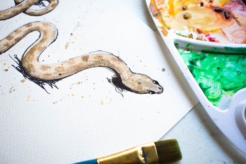 Concho Water Snake Original Watercolor Painting Snake Art Snake Gifts ...