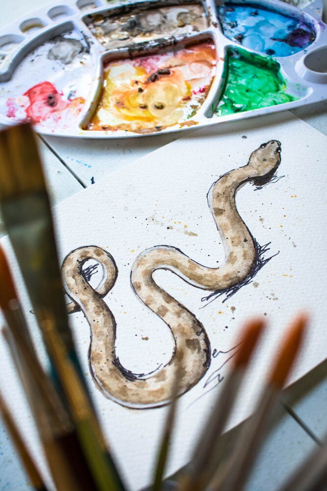 Concho Water Snake Original Watercolor Painting Snake Art Snake Gifts ...