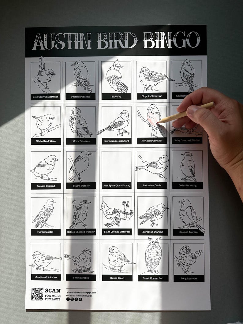 Austin Bird Bingo 11x17" Poster | Austin Texas | Birds of Texas | Bird ...
