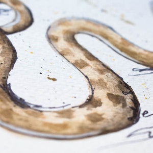 Concho Water Snake Original Watercolor Painting Snake Art Snake Gifts ...