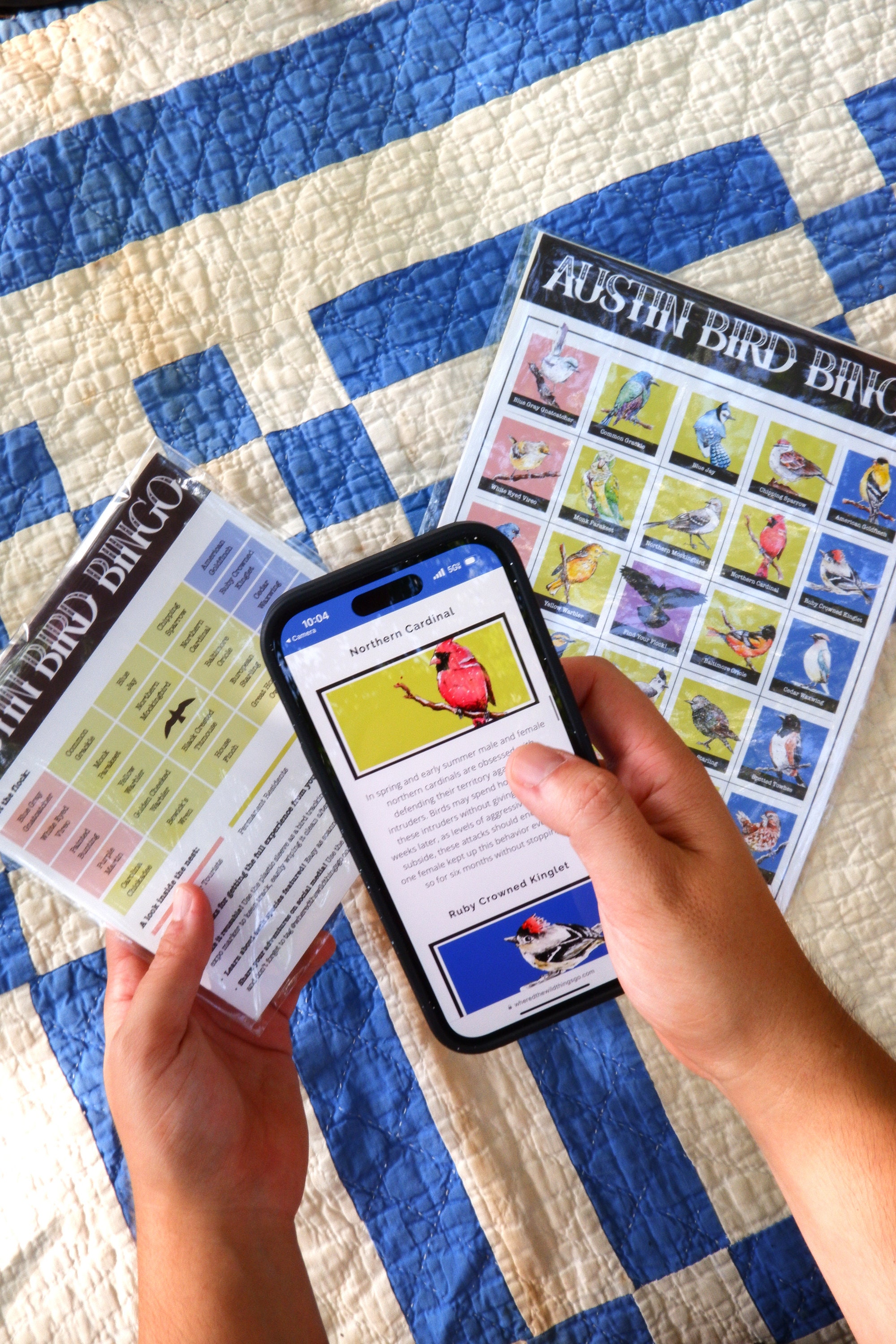 Austin Bird Bingo | Austin Texas | Birds of Texas | Bird Watching Gift ...
