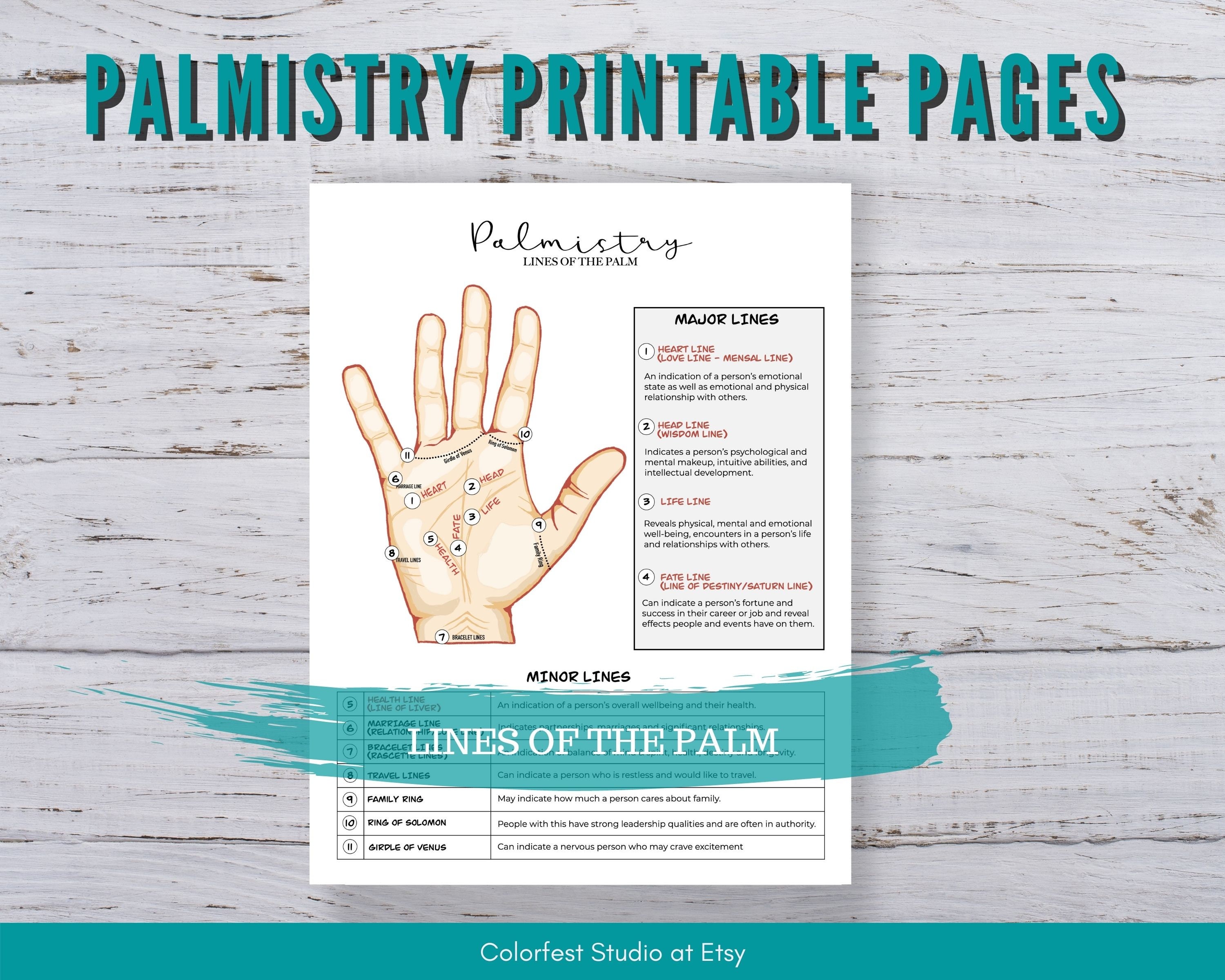 Palmistry Book Printable Pages for Grimoire Book of Shadows. Basic Palm ...