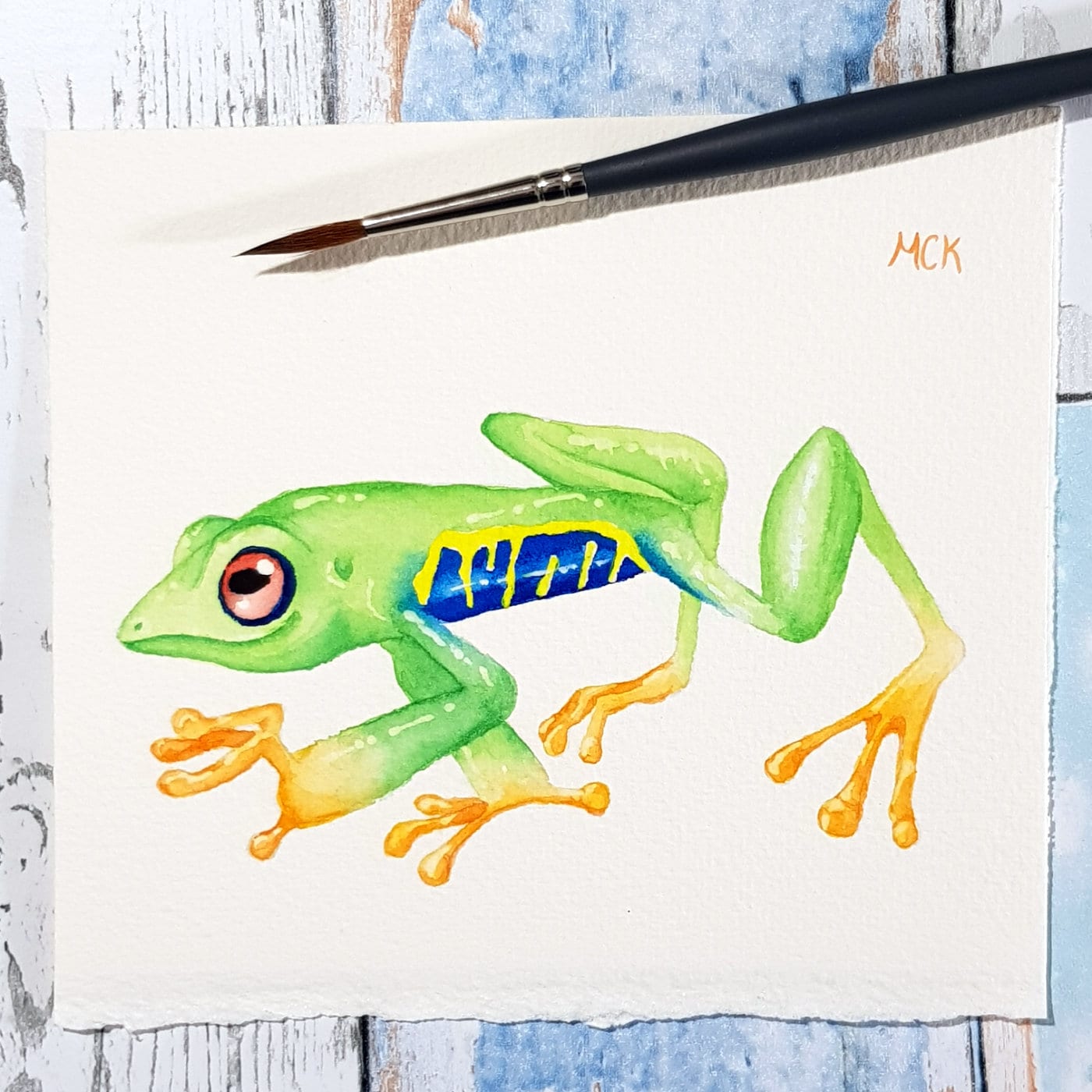 Amphibians Drawings