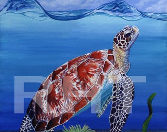 Original turtle art | Etsy