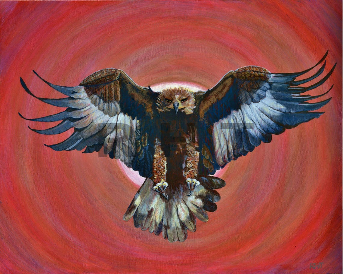 Eagle, Mouse Eye View, 20 X 16 In., Original Giclee Print, by Roxanne ...