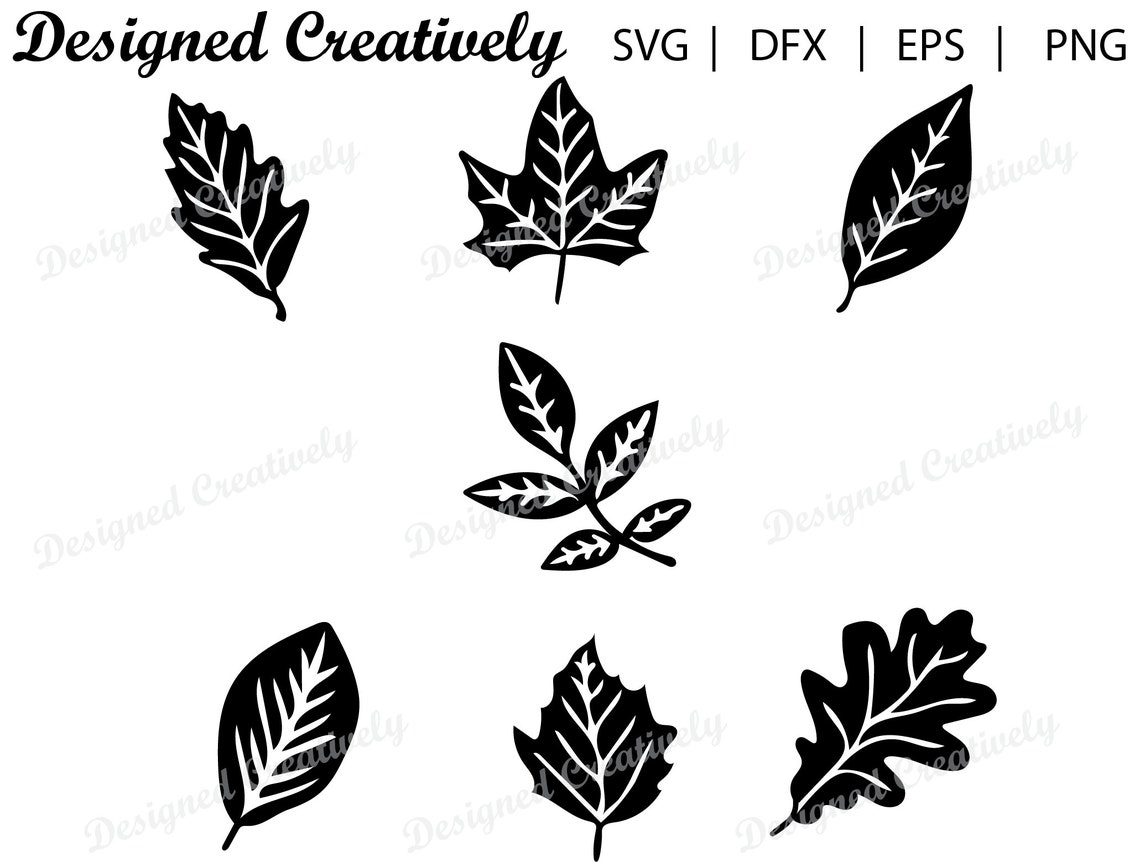 Leaf Bundle SVG Leaf SVG Leaves SVG Fall Leaves Svg Fall - Etsy