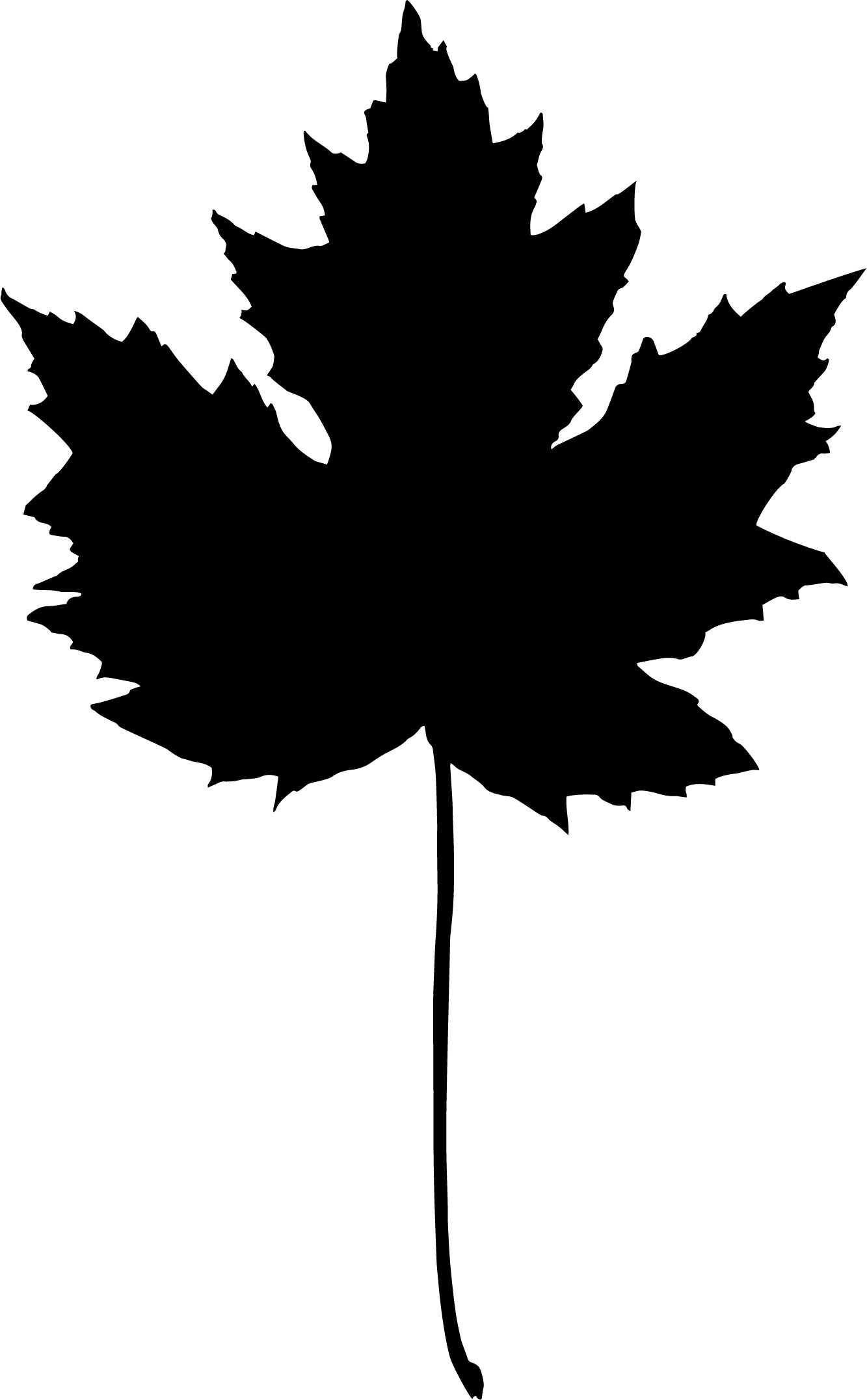 Maple Leaf SVG Leaf SVG Autumn Leaf SVG Fall Leaf svg | Etsy