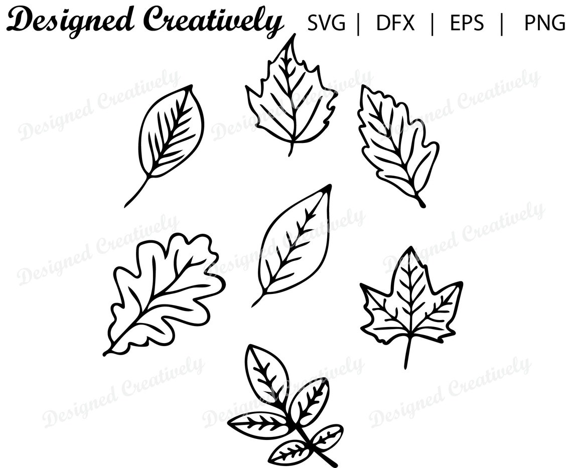 Leaf Bundle SVG Leaf SVG Leaves SVG Fall Leaves Svg Fall - Etsy