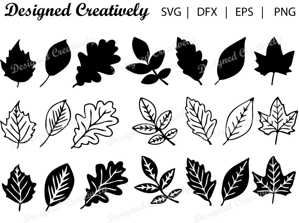 Leaf Bundle SVG Leaf SVG Leaves SVG Fall Leaves Svg Fall - Etsy