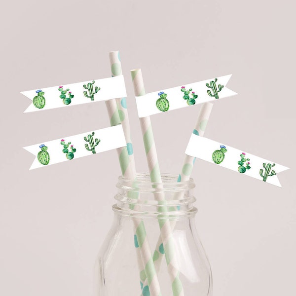 Cactus Party Decorations - Etsy