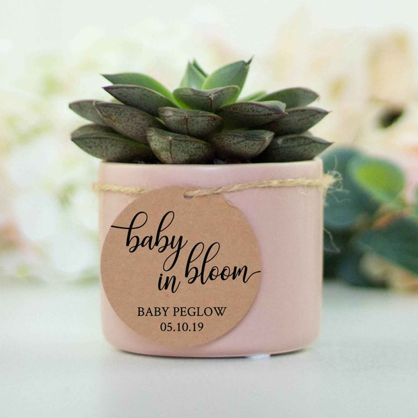 Baby in Bloom Tags - Etsy