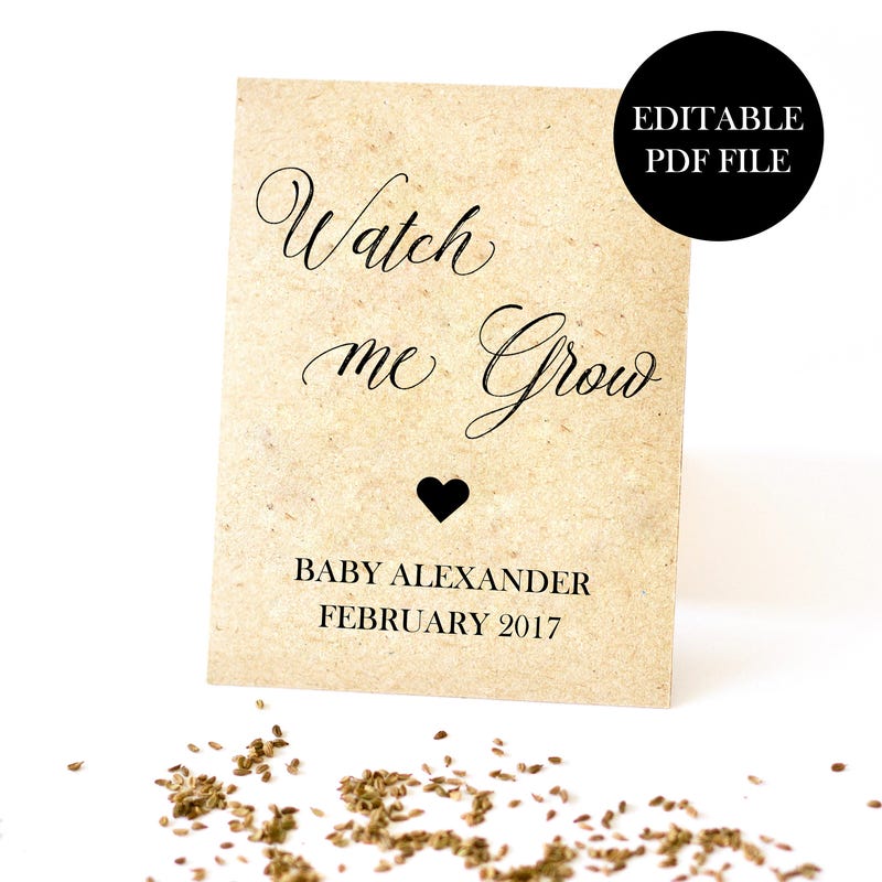 Seed Packet Tags - Etsy