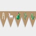 EDITABLE PDF, Llama Banner, Cactus Bunting, Fiesta Banner, Fiesta ...