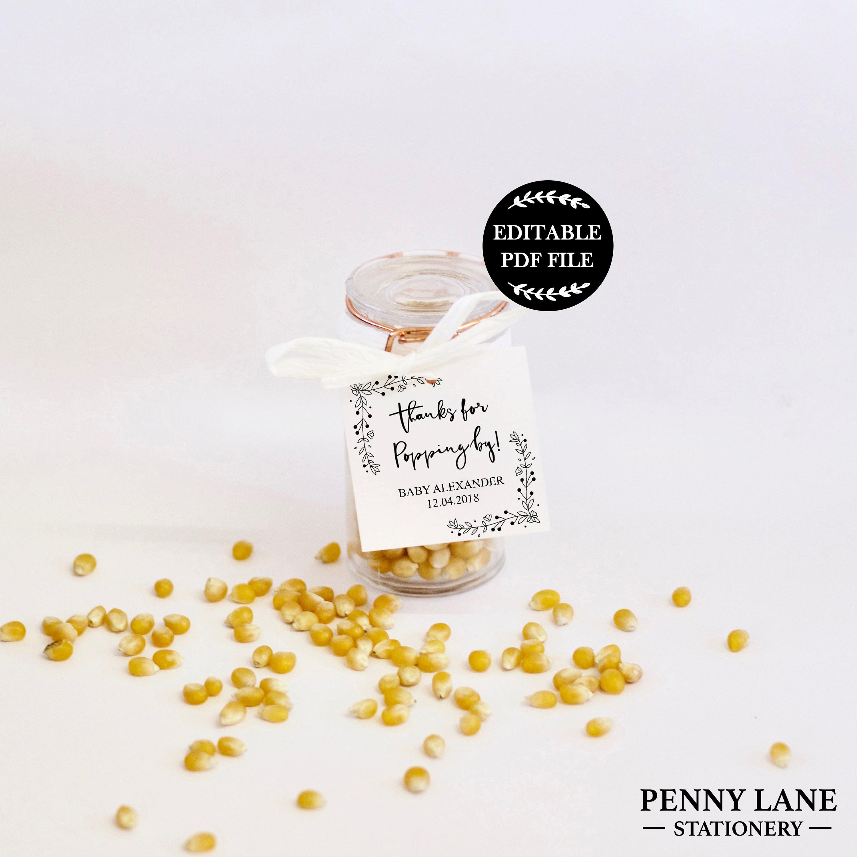 Editable PDF Favor Tags Thanks for Popping by Tags Baby | Etsy Australia