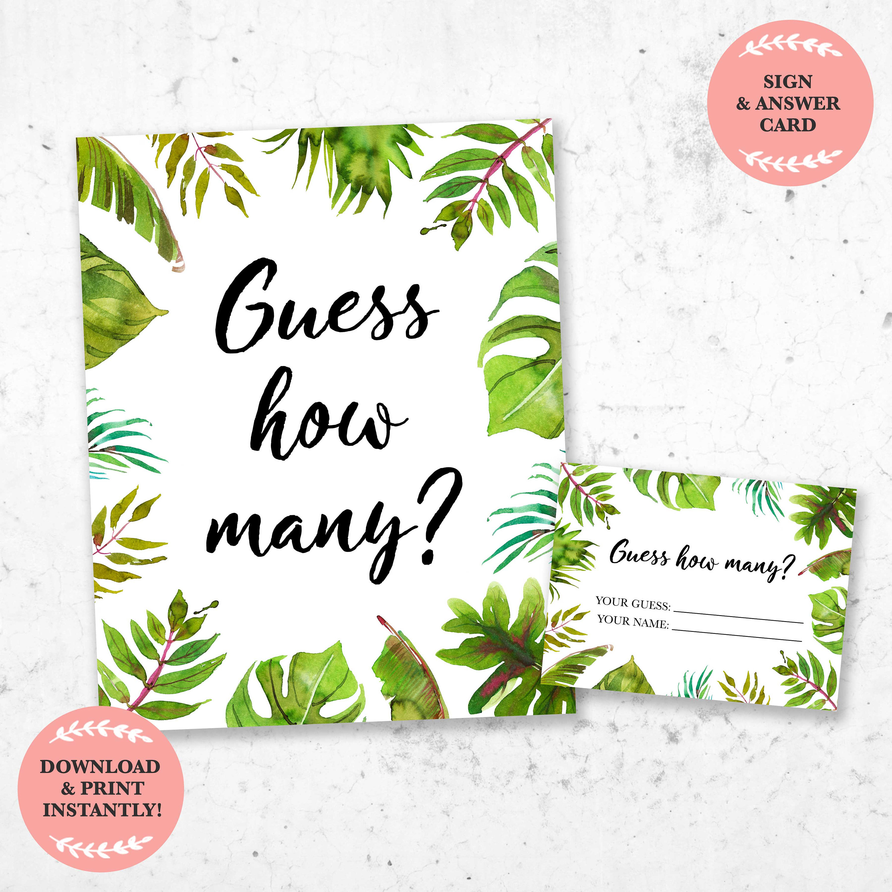 Guess How Many With Answers