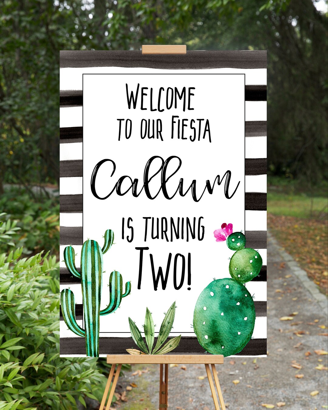 Cactus Welcome Sign, Fiesta Birthday Sign, Cactus Birthday Decorations ...