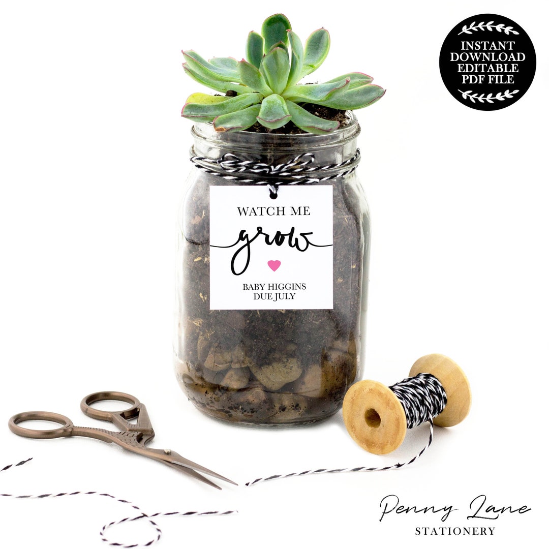 EDITABLE PDF, Watch Me Grow Tag, Pink Favor Tag, Girls Favor Tags, Baby ...