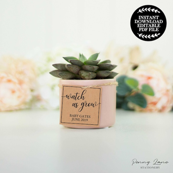 EDITABLE PDF, Watch Us Grow, Twins Baby Shower Favor Tags, Favour ...